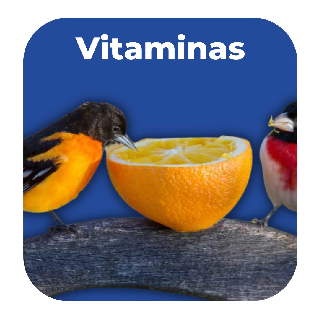 Fortalece las defensas de tus pájaros. – ibericadeornitologia